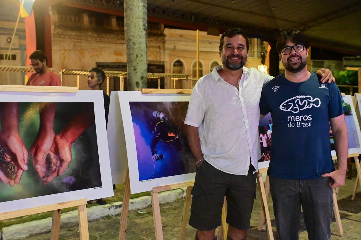 Projeto Meros do Brasil destaca preservação marinha no Circuito Penedo ...